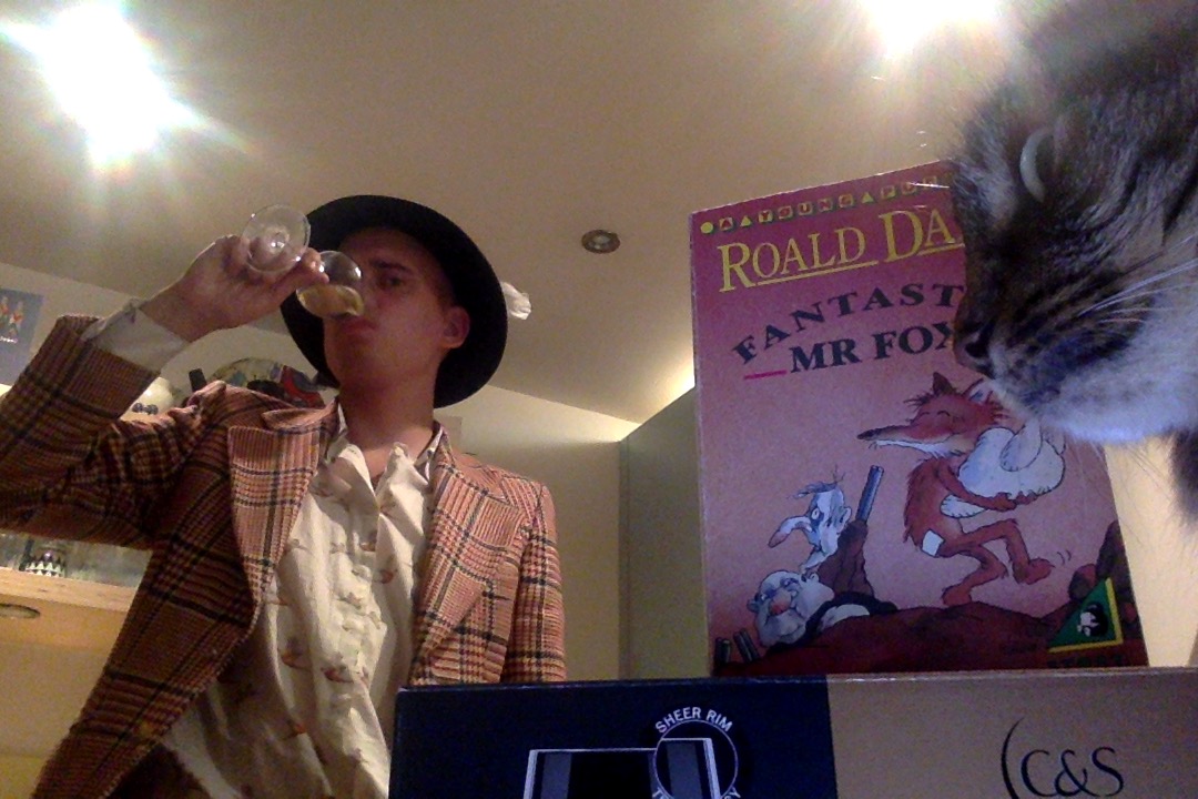 Fantastic Mr Fox by Roald Dahl – Triumph Of The Now
