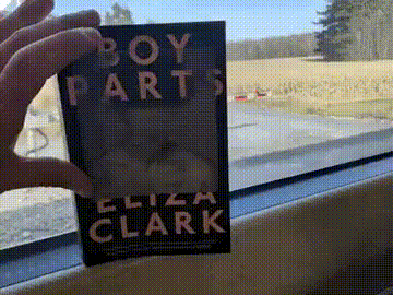 Boy Parts by Eliza Clark (Influx Press, 2020) – Triumph Of The Now