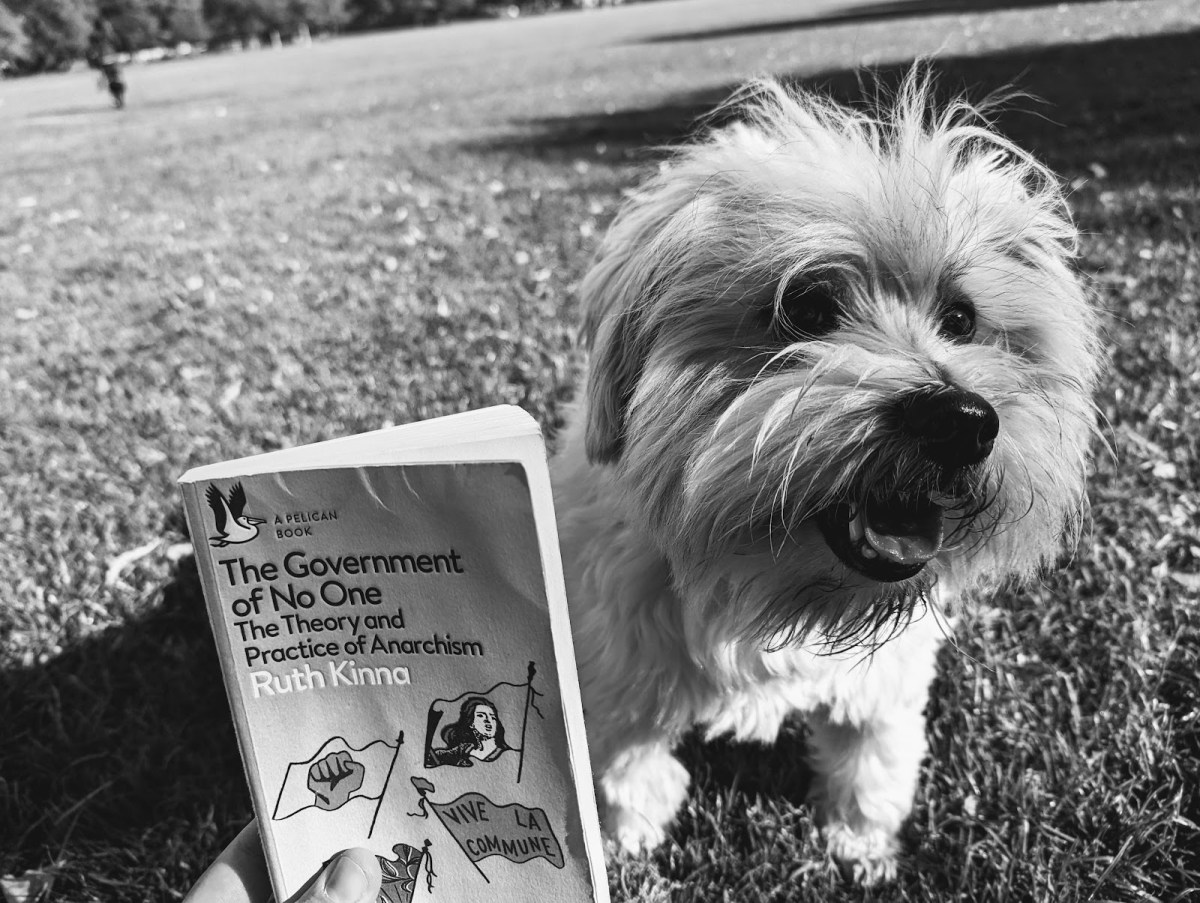 The Government of No One by Ruth Kinna – Triumph Of The Now